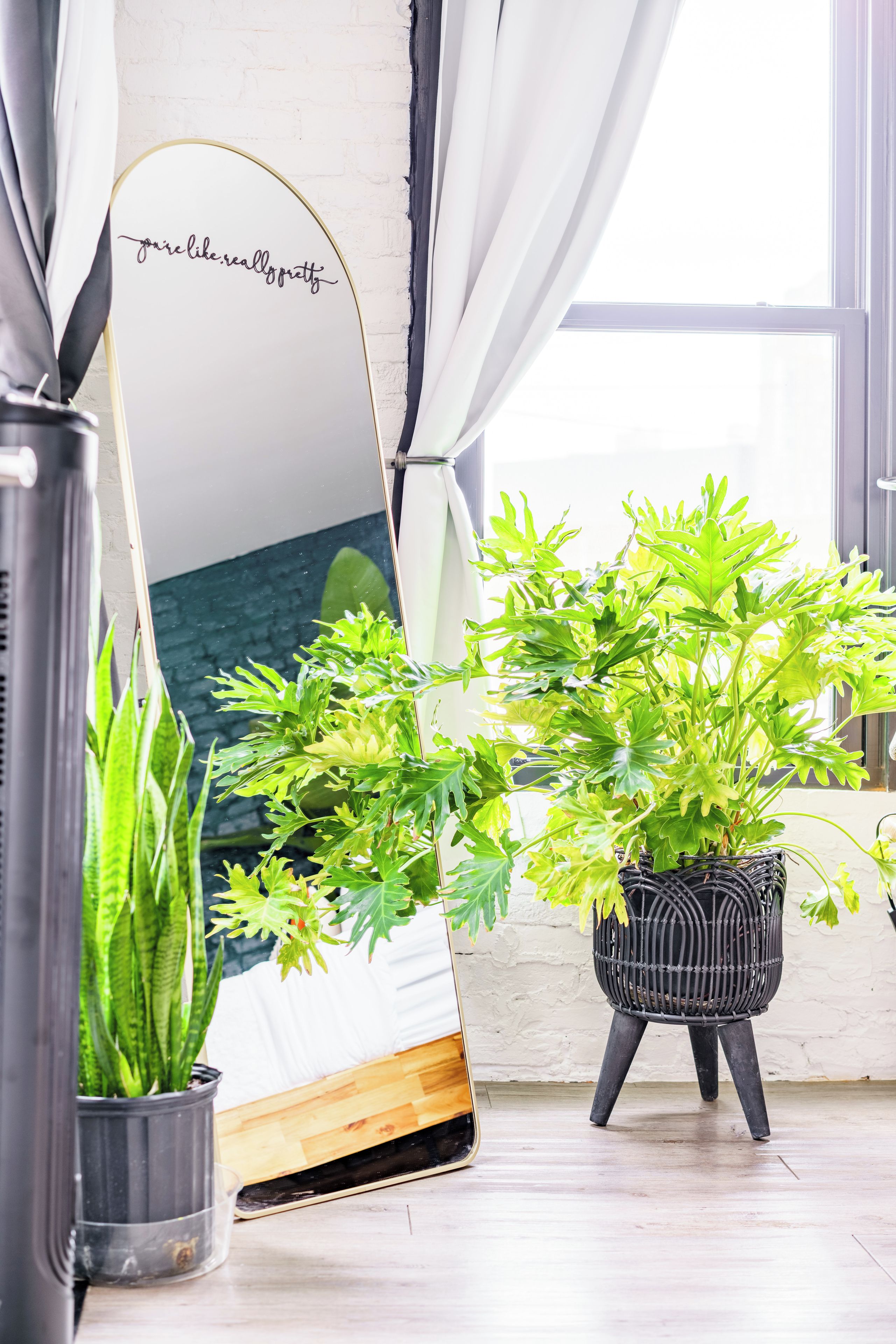 Quarto com um espelho grande, uma planta em vaso sobre um pedestal e uma janela com cortinas.
