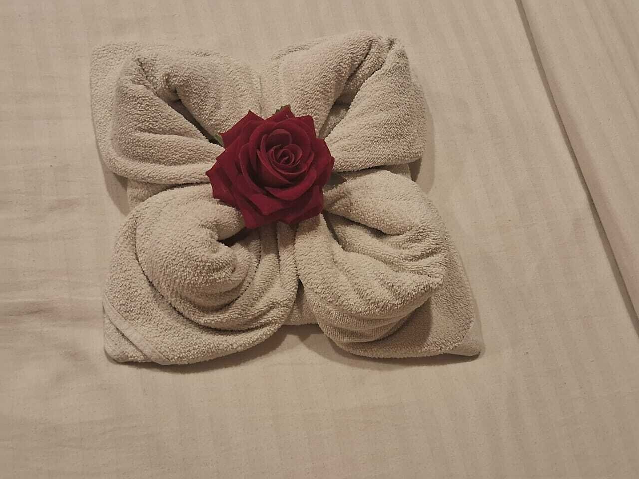 Quarto premium | Roupas de cama premium, edredons de pluma, ferros/tábuas de passar roupa