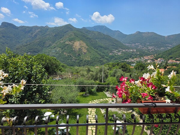 Tramonti Divini Amalfi Country House - Tramonti