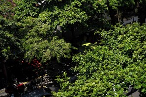 Quarto luxo | Wi-Fi de cortesia