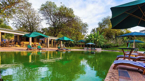 Área de piscina com espreguiçadeiras e guarda-sóis, cercada por árvores e um espaço coberto com assentos.