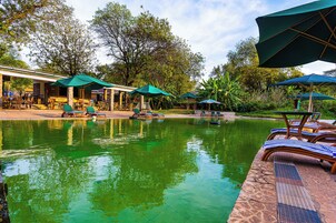 Área de piscina com espreguiçadeiras e guarda-sóis, cercada por árvores e um espaço coberto com assentos.