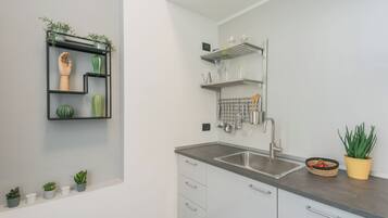 Apartamento (1 Bedroom) | Kitchenette privada | Um micro-ondas, uma placa de cozinha, uma chaleira elétrica