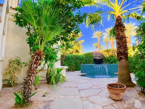 Um pátio com caminho de pedra, uma pequena piscina e diversas plantas tropicais.