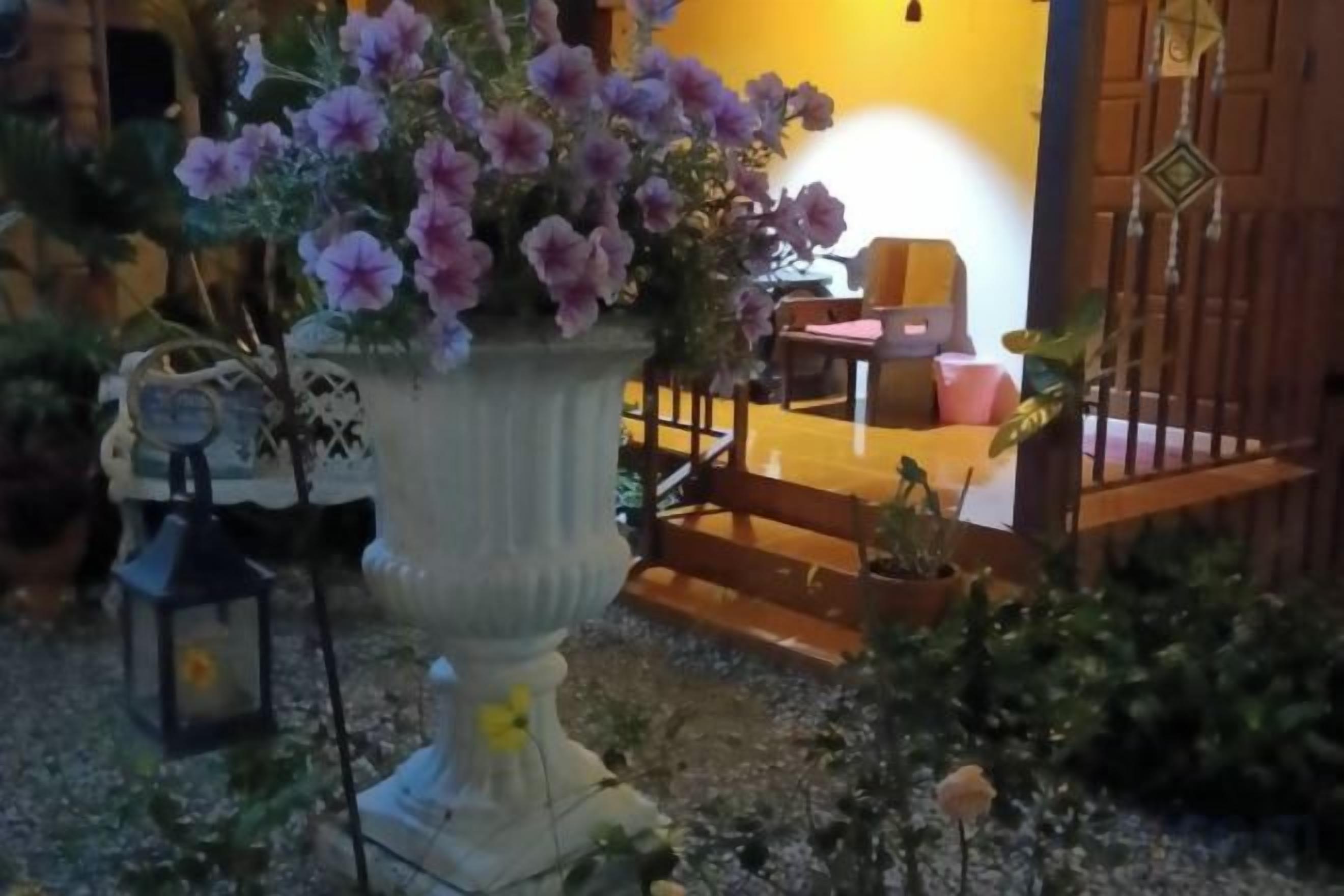 Quarto com uma grande planta em vaso, uma cadeira de madeira e uma cama com colcha amarela.