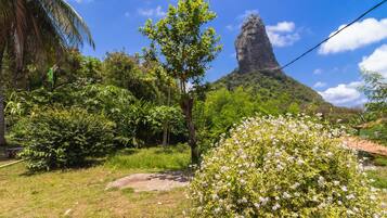 Jardim