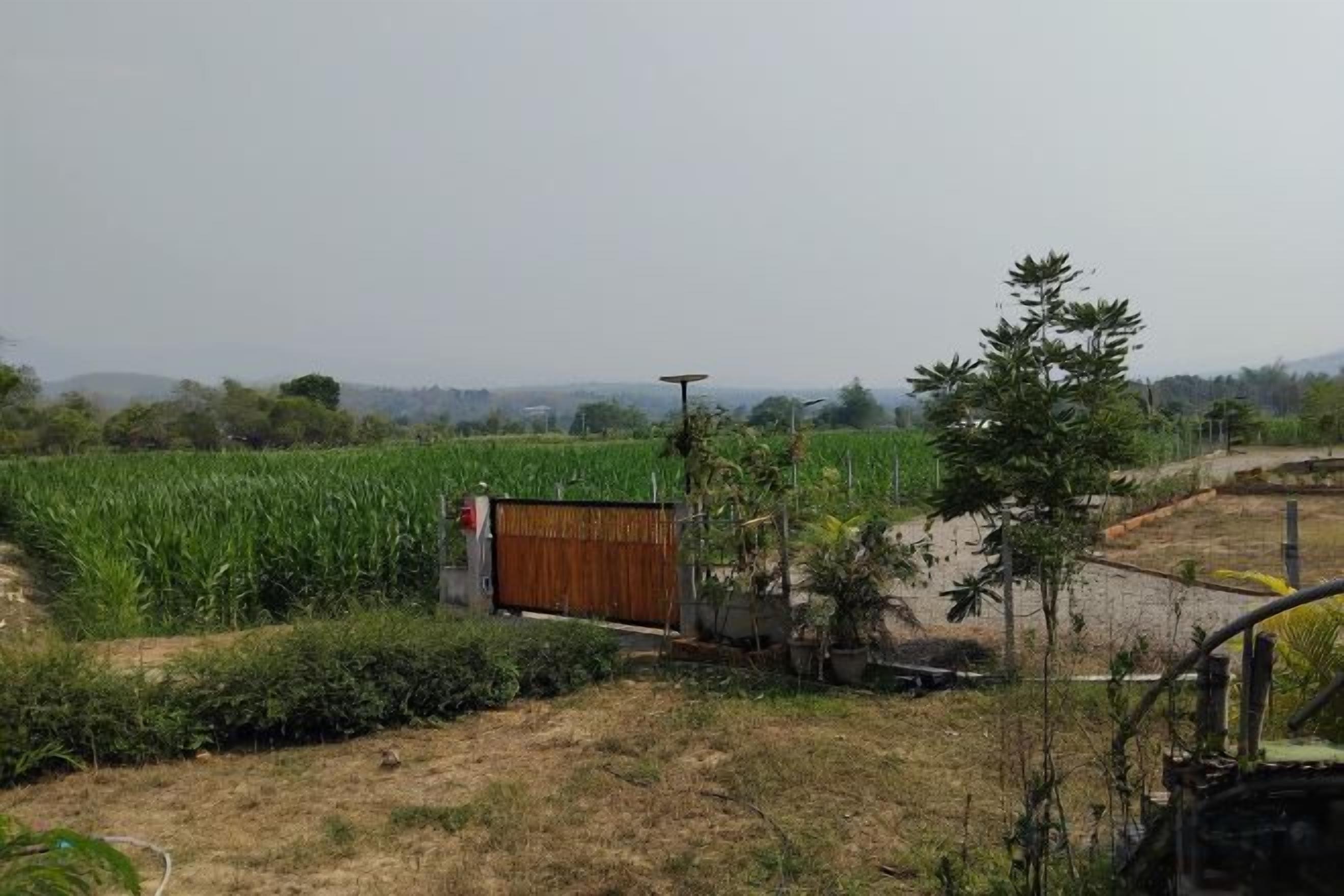 Paisagem rural com um campo, um portão de madeira e uma pequena construção.