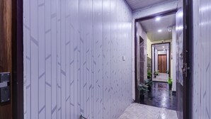 Um corredor com paredes estampadas, uma porta de madeira e um vaso com planta.