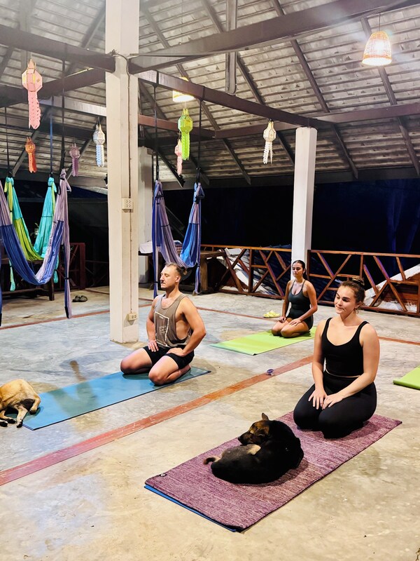 The Nest Pai Love Resort - Mae Hong Son