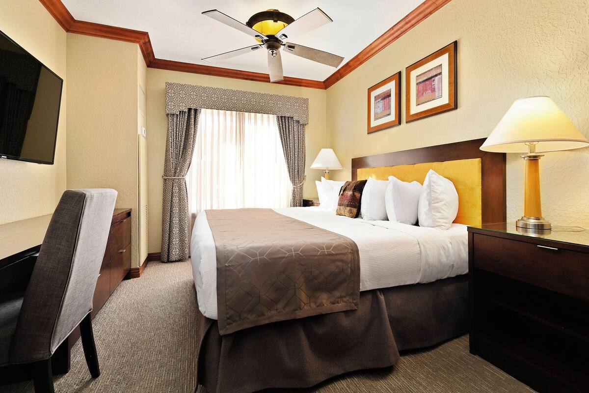 Quarto de hotel com cama, escrivaninha, cadeira, ventilador de teto, televisão e luminária.