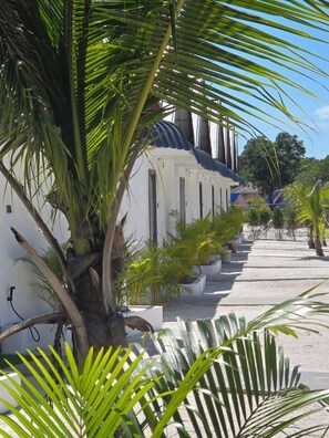 Jardim