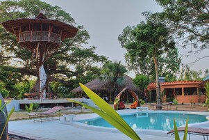 Uma área de piscina com espreguiçadeiras, uma estrutura com telhado de palha e uma grande árvore.