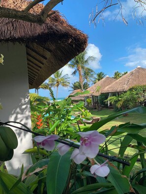 Resort tropical com estruturas de palha, palmeiras e céu azul límpido.