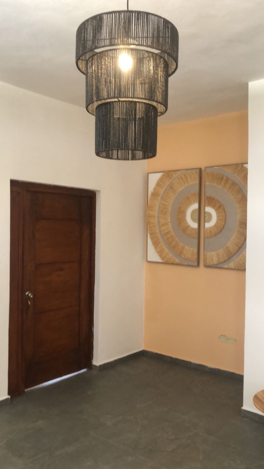 Um corredor com porta de madeira, um lustre moderno e duas obras de arte abstratas nas paredes.