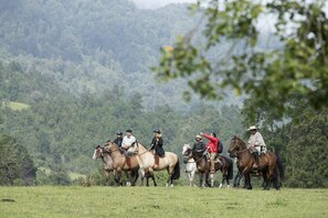 Passeios a cavalo
