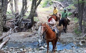 Passeios a cavalo