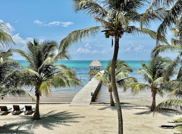 Apartamento Gallery em Condomínio Fechado, ar condicionado, vista para a praia | Vista para a praia ou o mar