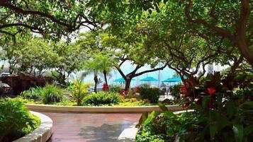 Jardim