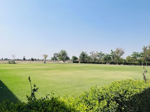 Vista para o jardim