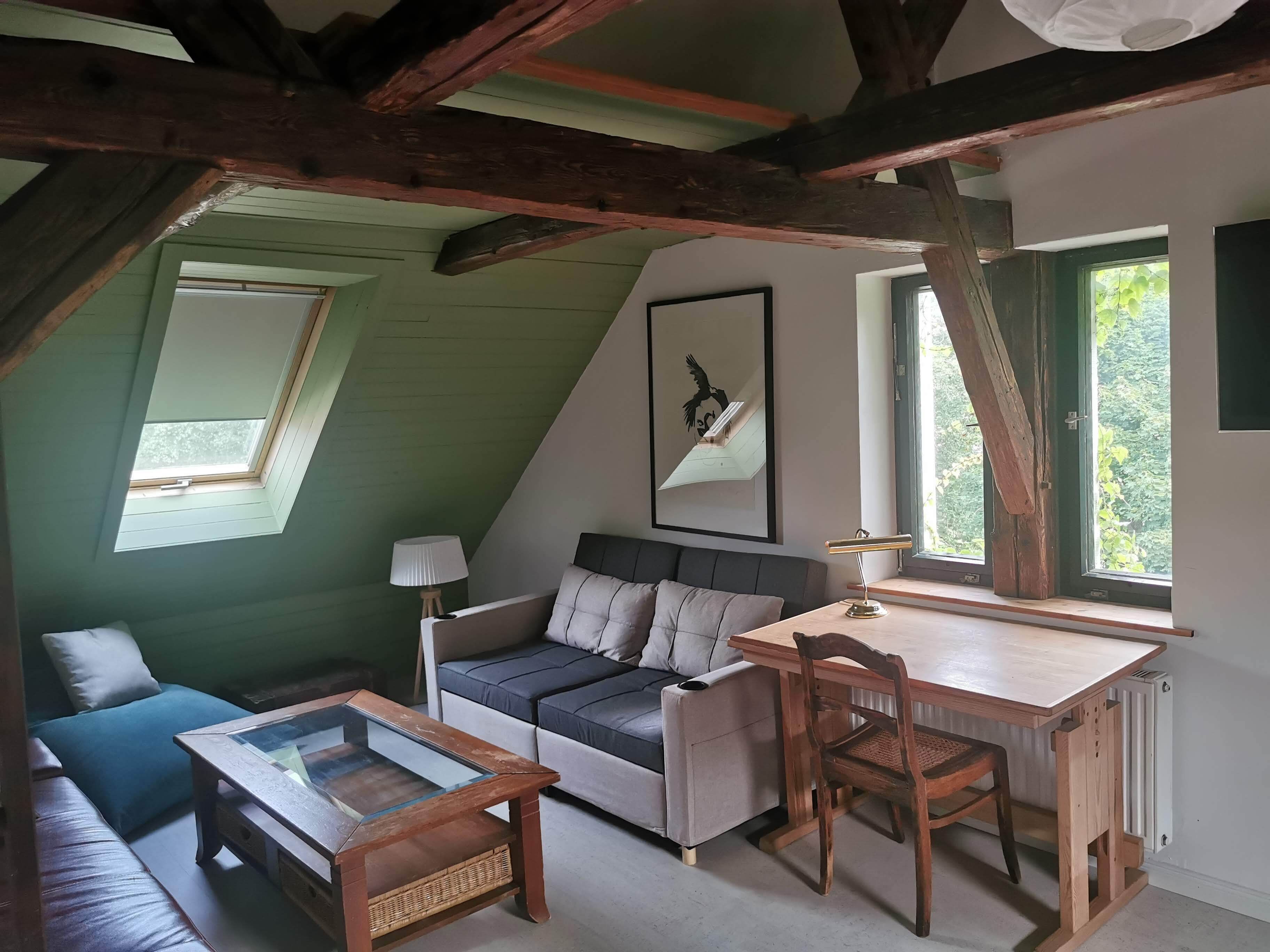 Stylish Listed House. With Sauna, Fitness Studio And A Small Garden. Bathing Pond. - Dresden