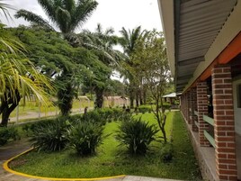 Um jardim com palmeiras e diversas plantas, um edifício de tijolos e um caminho.
