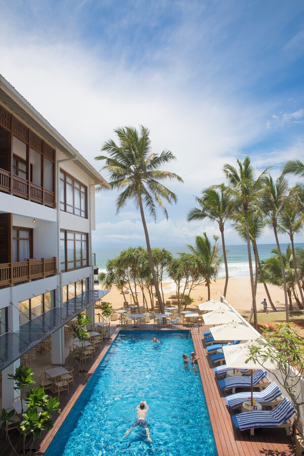 The Lucky Elephant - Hikkaduwa