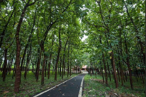 Mc Resort Bandipur - Bandipur