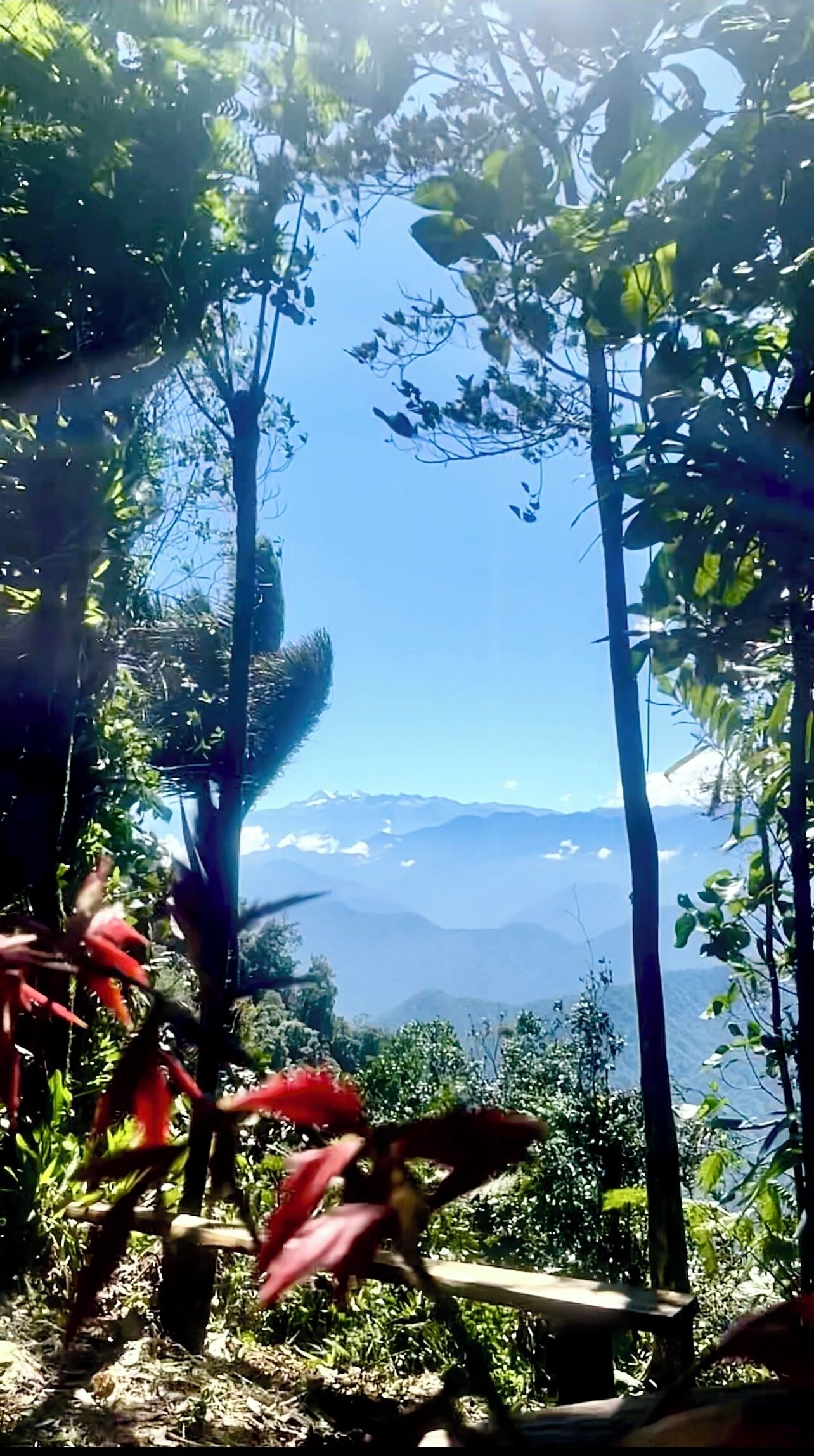 Dormitório Partilhado Comfort, vista para a montanha | Secretária, secretária adequada para computadores portáteis 