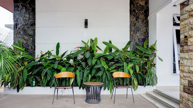 Uma área de estar com duas cadeiras e uma pequena mesa redonda, cercada por plantas verdes exuberantes.