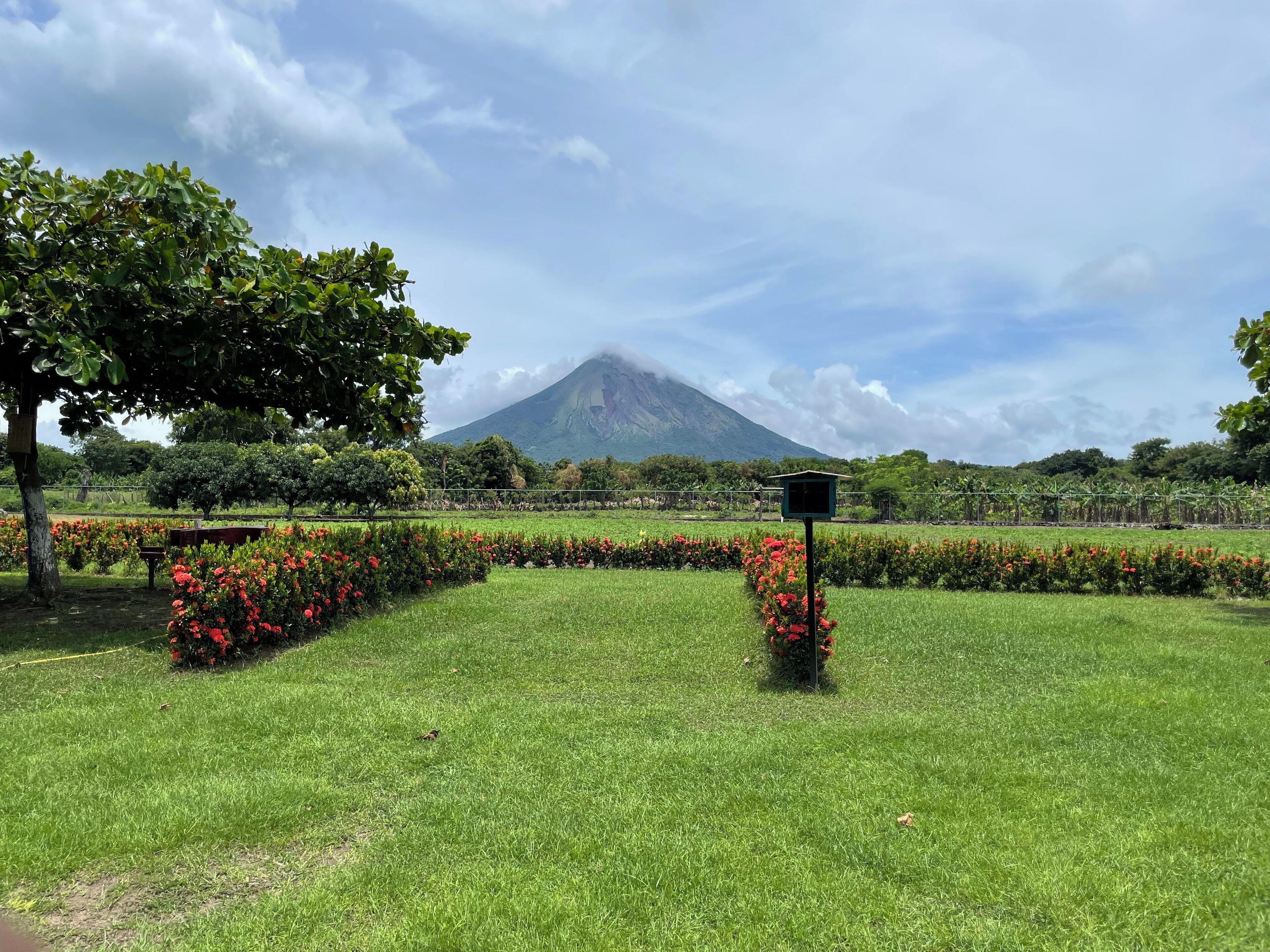 Um jardim bem cuidado com vista clara para uma montanha ao fundo.