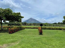 Um jardim bem cuidado com vista clara para uma montanha ao fundo.