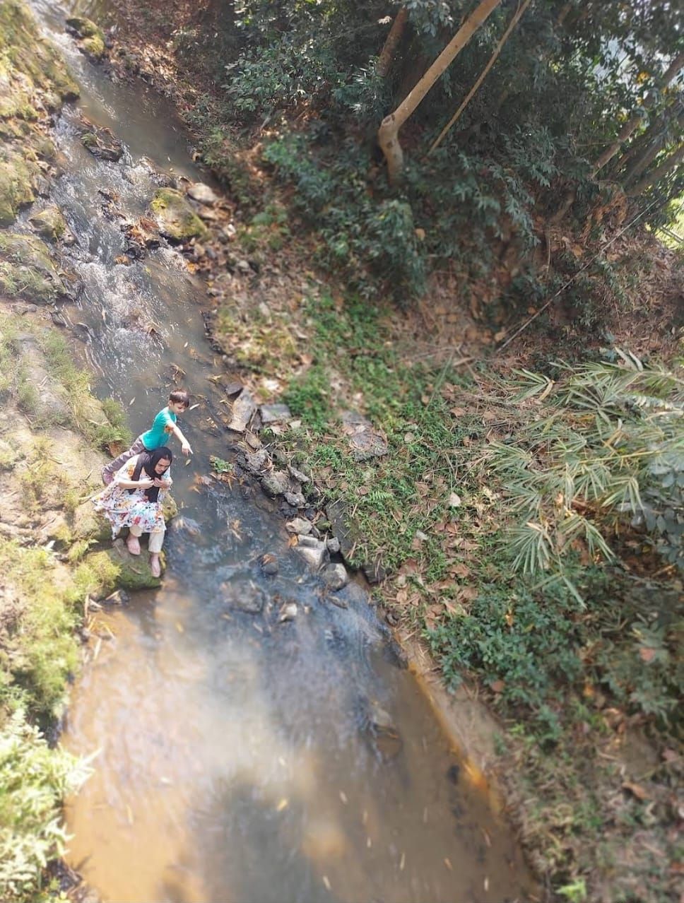 Ambiente natural ao ar livre com um riacho, pedras e vegetação.