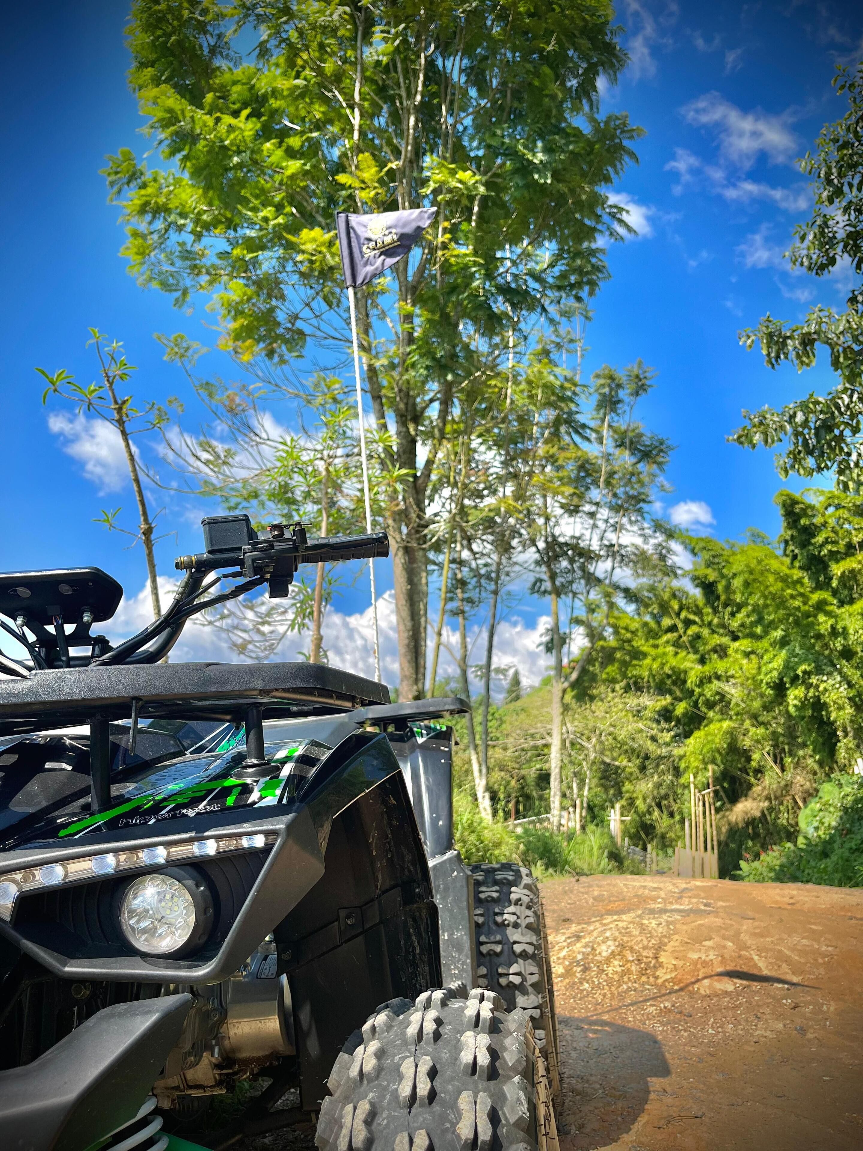 Um veículo com uma bandeira, rodeado por árvores e um céu limpo.
