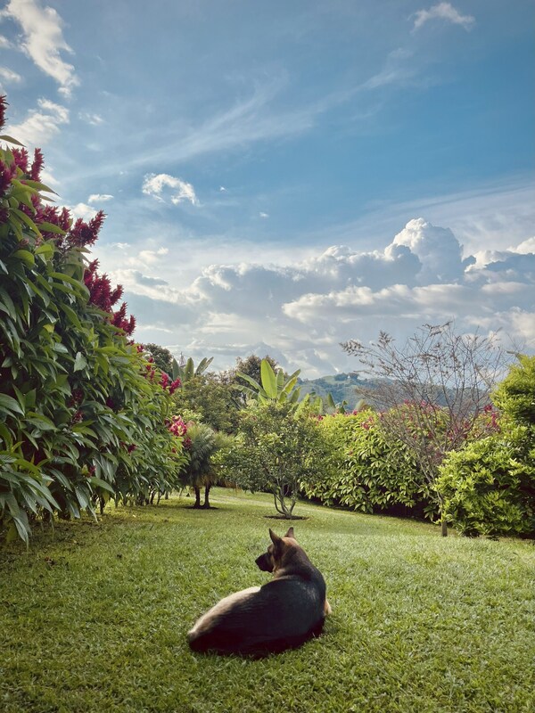 Chamí Glamping - Manizales