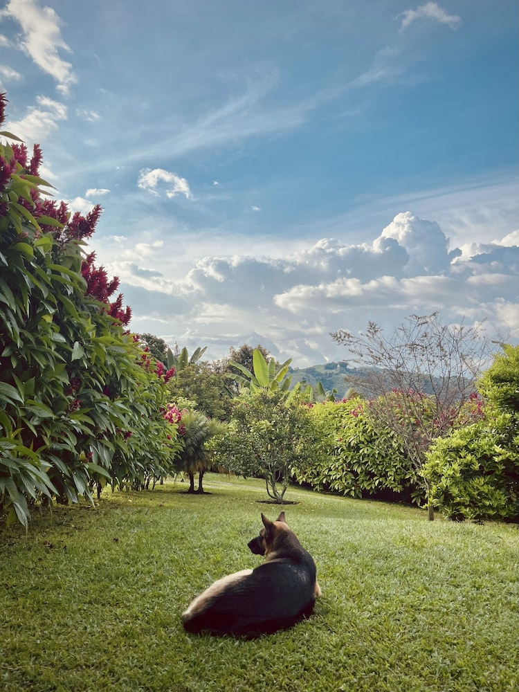 Chamí Glamping - Manizales