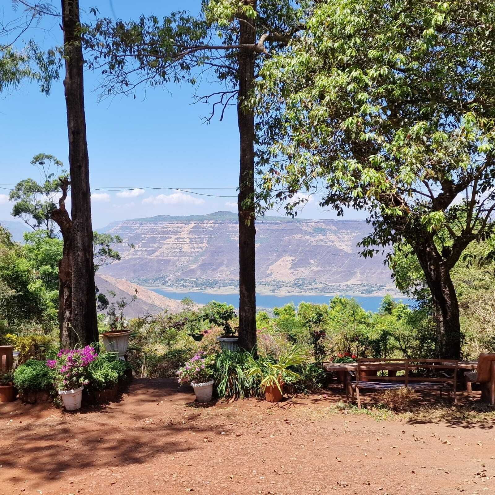 Uma área externa pitoresca com um caminho de terra, bancos de madeira e plantas em vasos.