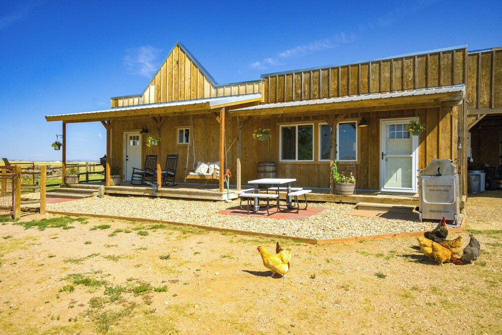 Yak Ranch W/ Mountain Views, Near Wellington! - Colorado