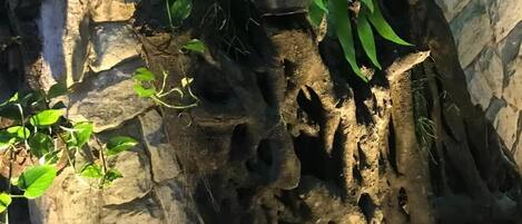 Terrenos do alojamento
