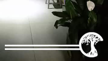 Comodidades da propriedade