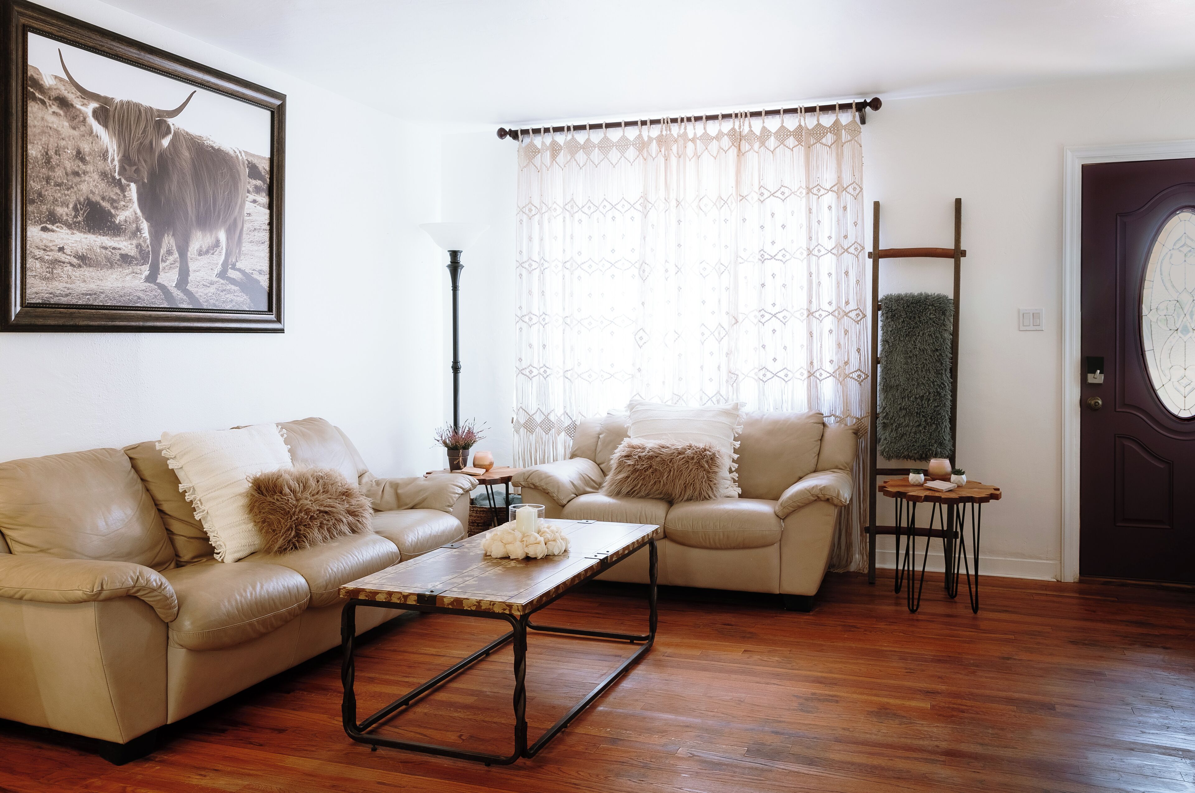 Boutique On Beryl: Pets+3king+peacocks+old Town - Albuquerque