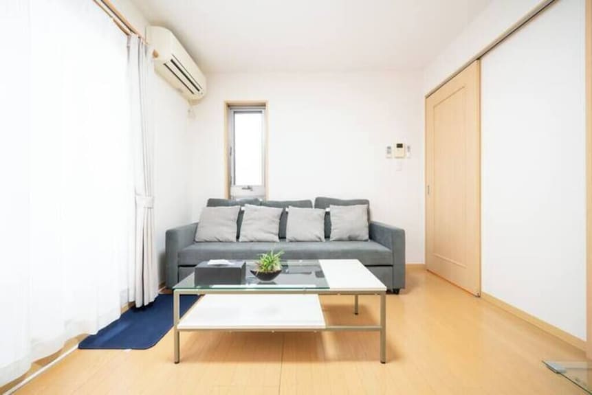 Tokyo Escape - Direct Train To Narita & Haneda - Asakusa