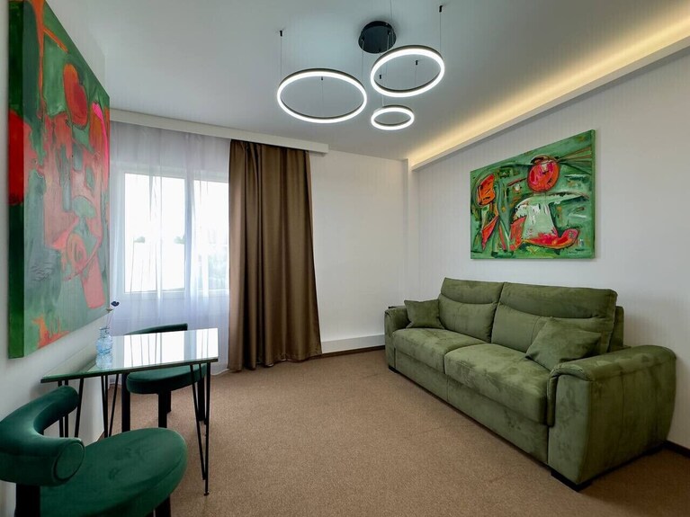 Olive Deluxe King Studio By Eclectic 6 - Satu Mare