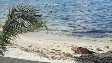 Vista para a praia ou o mar