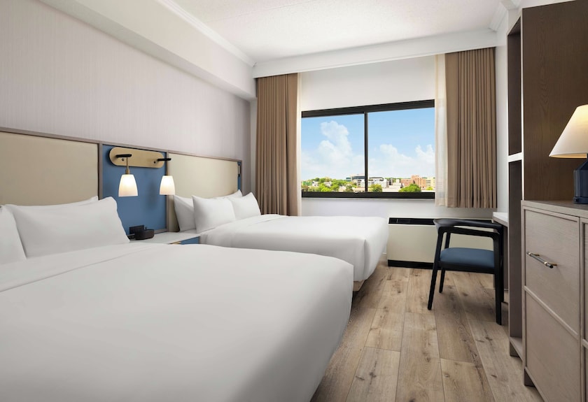 Modern City Studio In Heart Of White Plains, 2 Units - Wakefield - Bronx NY