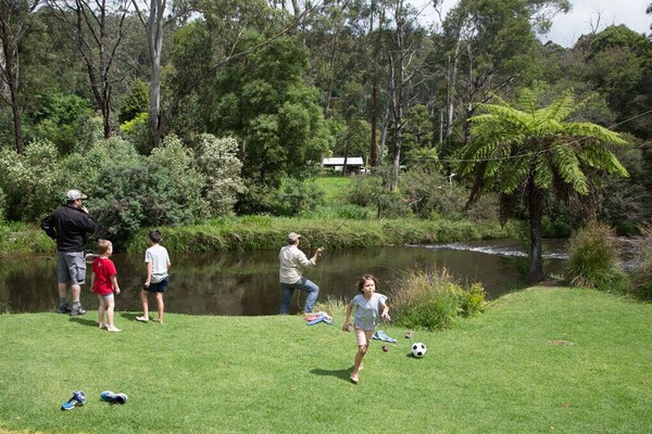 Warburton Holiday Park - Currawong Rd