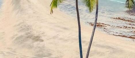 Perto da praia, areia branca