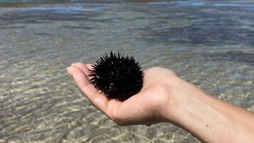 Na praia, praia de areia branca, espreguiçadeiras, guarda-sóis de praia
