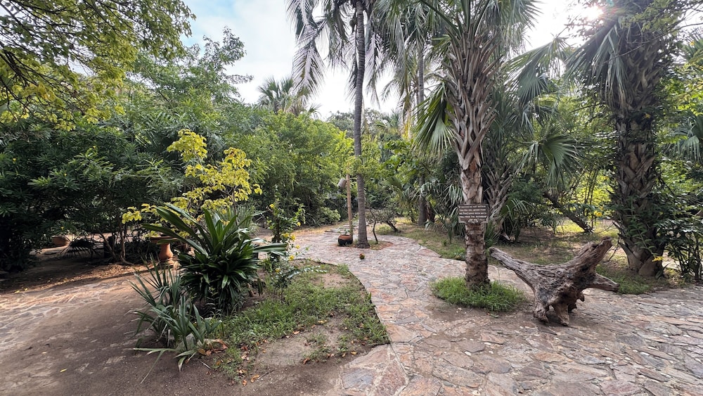 Arena Negra - Mazunte