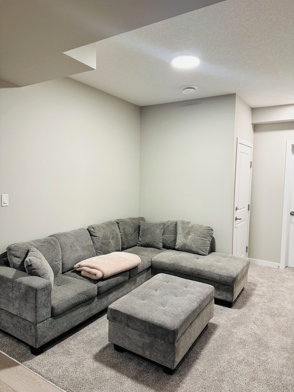 Cozy Basement Retreat - Edmonton