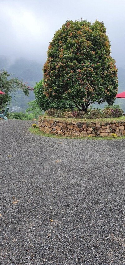 Hideaway Trails Ella